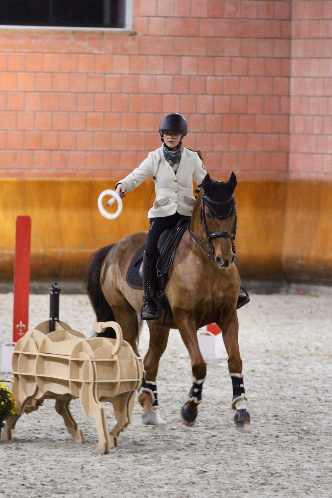 Working Equitation Deutschland e. V.