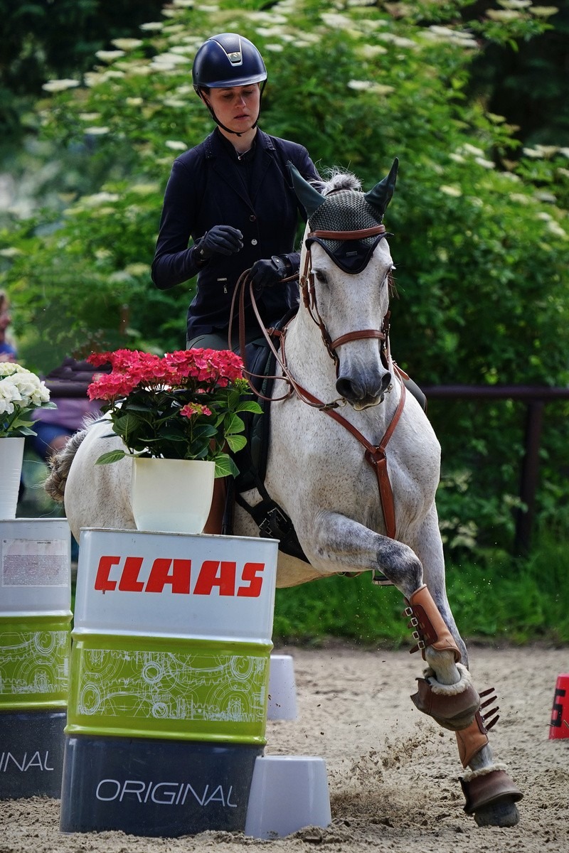 Unser Kader - Working Equitation | WED e. V.