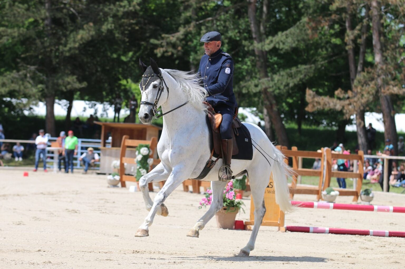 Unser Kader - Working Equitation | WED e. V.